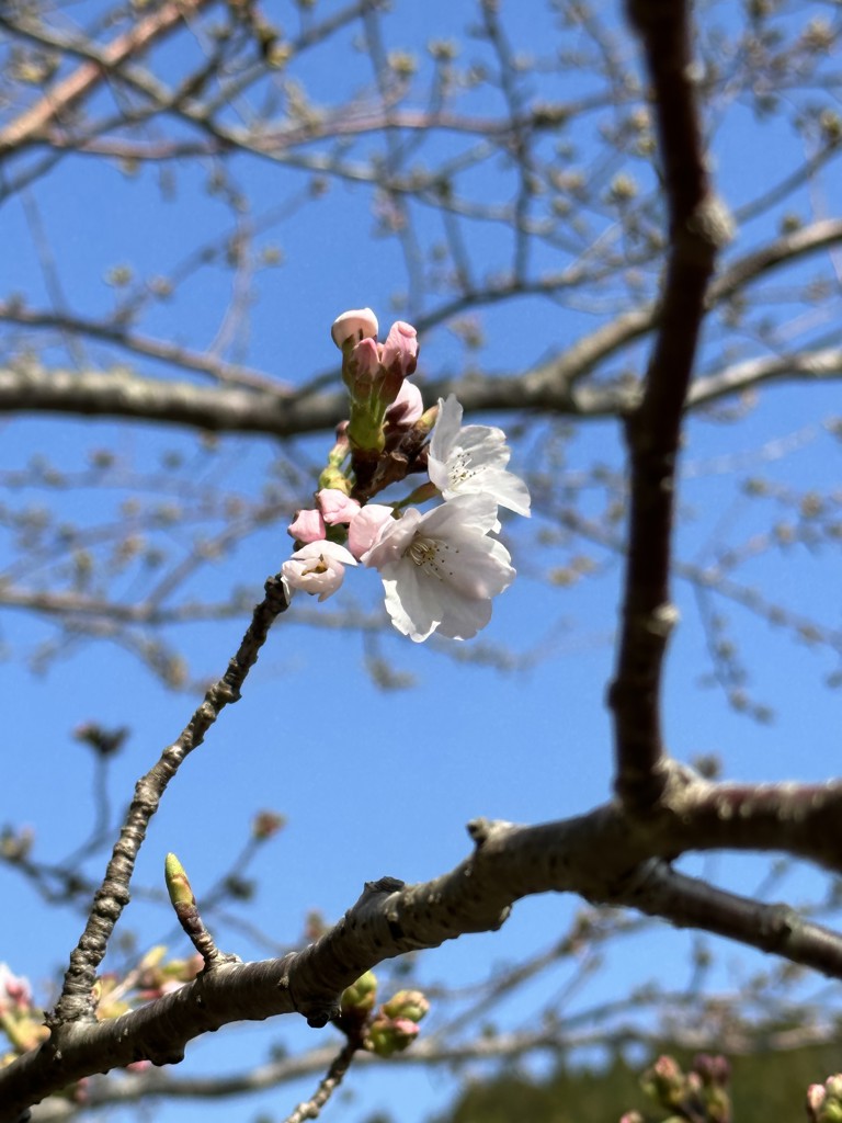 【GREGORY】ミニリュックの口コミ一覧 | リアルな口コミ・公式サイトのレビューならReviCoポータル