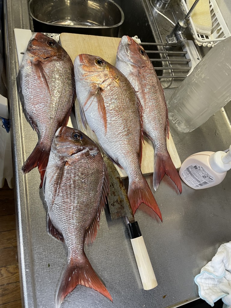 【中古品】【ランク：C】シマノ 15フォースマスター 3000【返品不可】の口コミ一覧 | リアルな口コミ・公式サイトのレビューならReviCoポータル