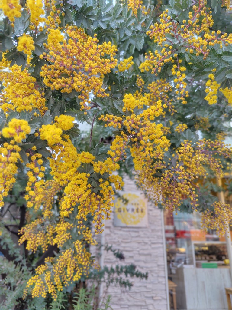 京都南禅寺 豆腐つゆの口コミ一覧 | リアルな口コミ・公式サイトのレビューならReviCoポータル