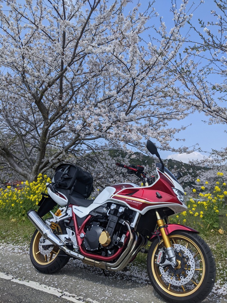 PROJECT BIG-1 キーホルダー(F ブラック): ウェア・グッズ PROJECT BIG-1 キーホルダー(F ブラック): ウェア・グッズ